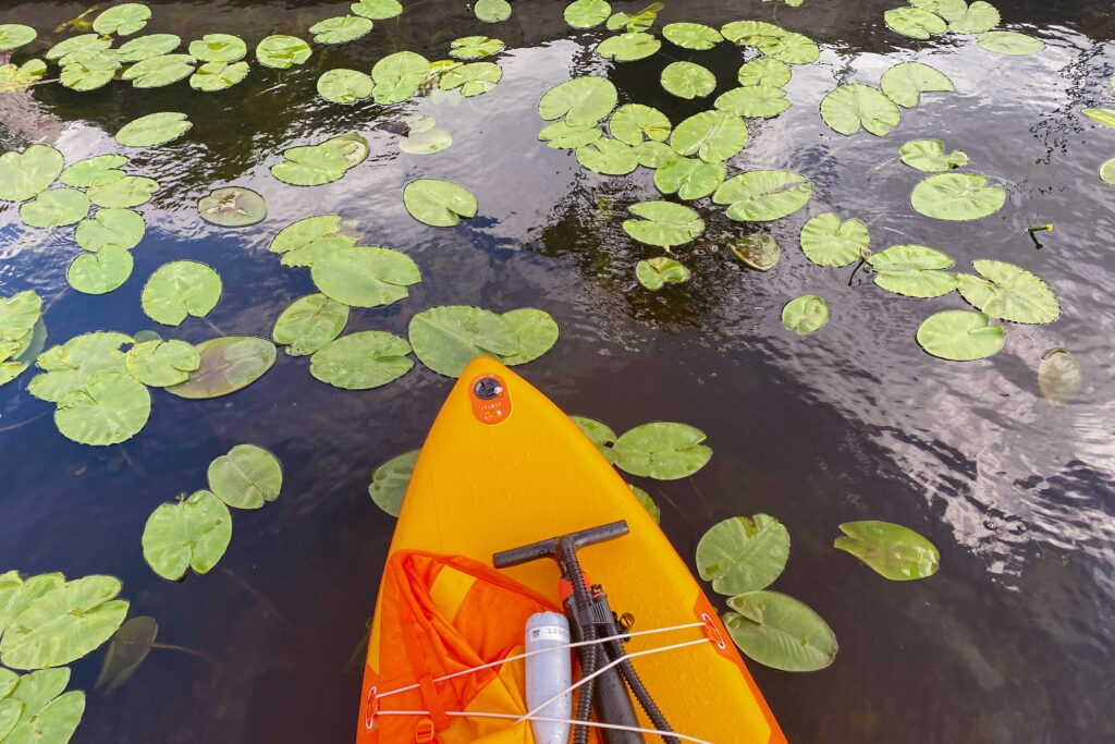 Paddle rental in Shkoder - Drini Times Shkoder Lake Tour - Self Guided Tour - visitShkodër